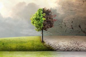 Reseña del documental "Before the Flood", de Leonardo DiCaprio