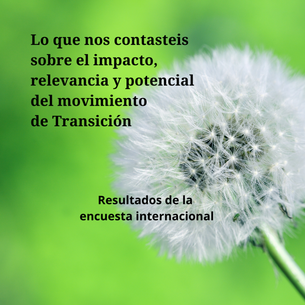 Lo que nos contasteis sobre el impacto del movimiento de Transición